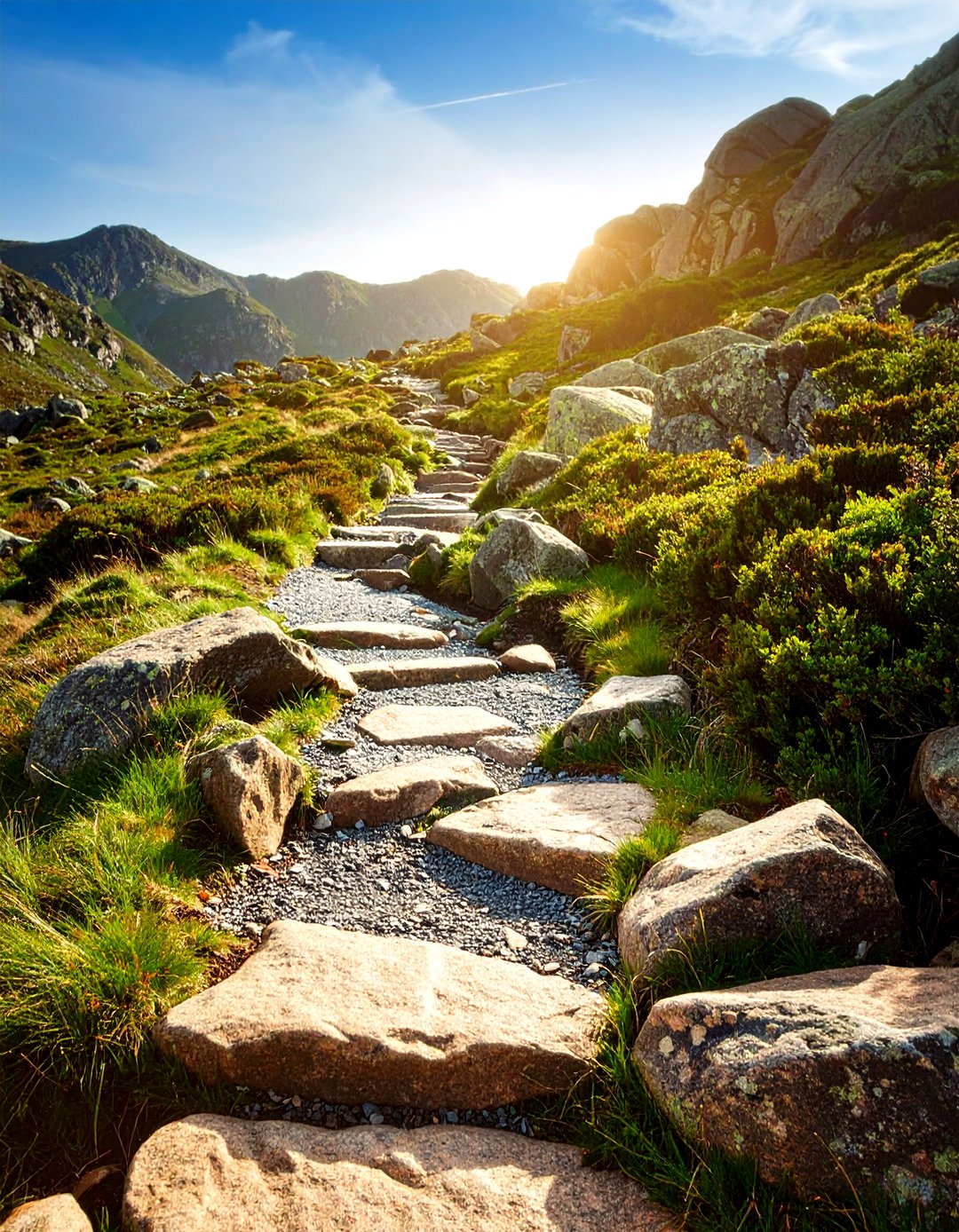 24 Sloped Walkway Ideas for Outdoor Paths and Steps - Too Much Time