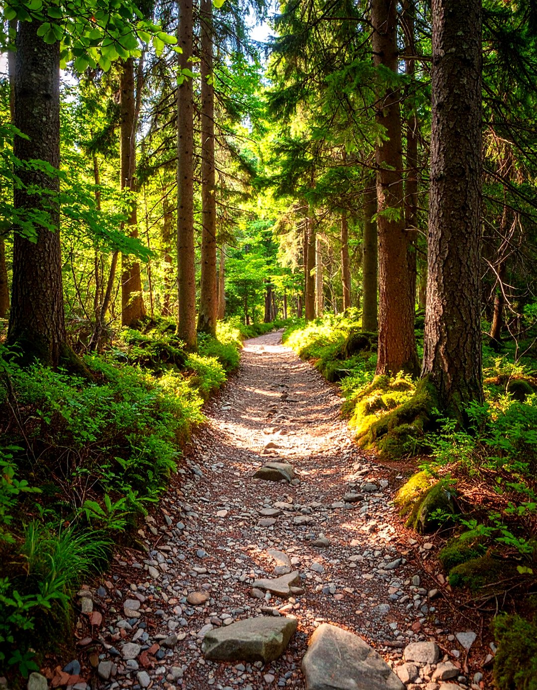 24 Rock Walkway Ideas: Creating Charming Pathways Now - Too Much Time