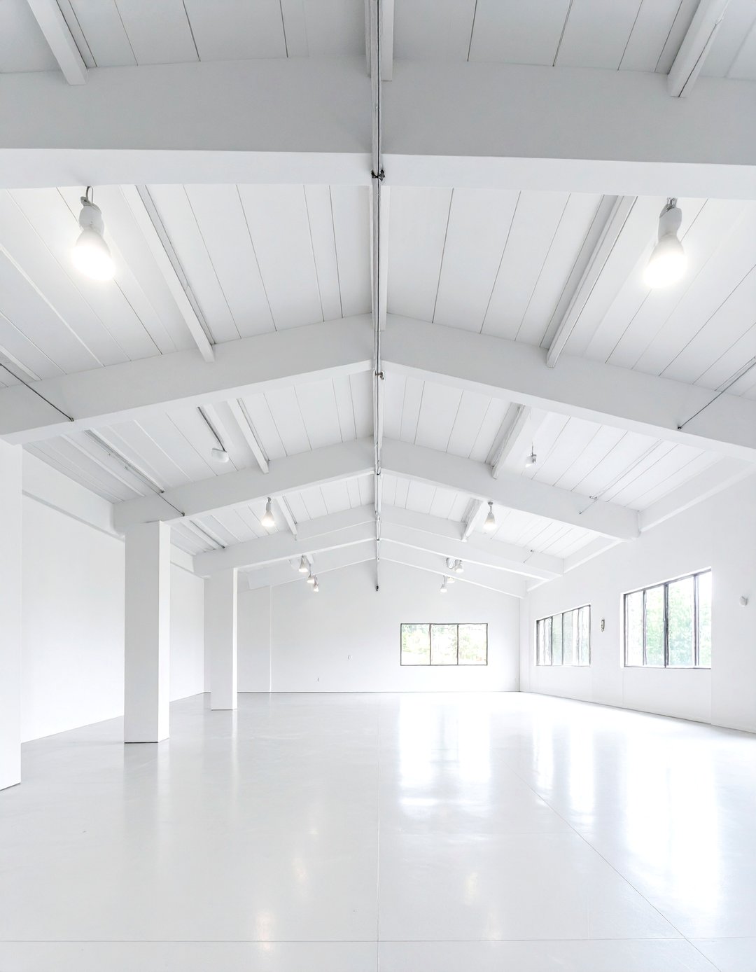 24 Shed Ceiling Ideas to Upgrade Outbuildings with Style - Too Much Time